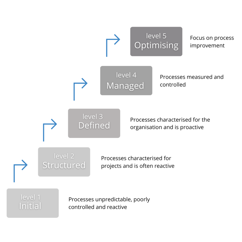 Whitepaper - Managed Services and the IT Support Maturity Model - Cameo